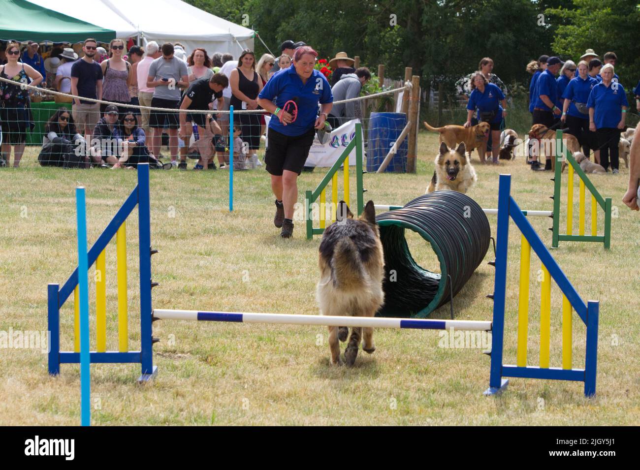 Happy Tailwaggers Dog Agility Display Team at the Tendring Hundred Show ...