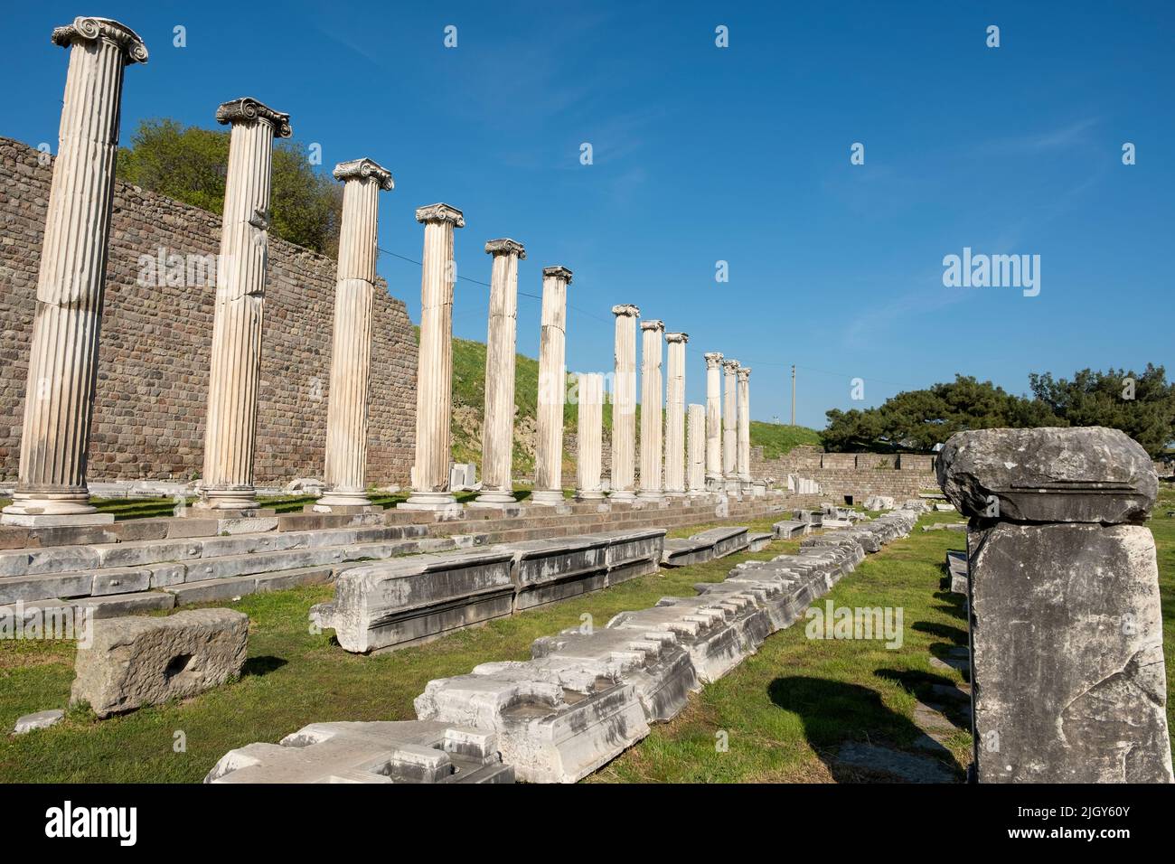 Asklepion hi-res stock photography and images - Alamy