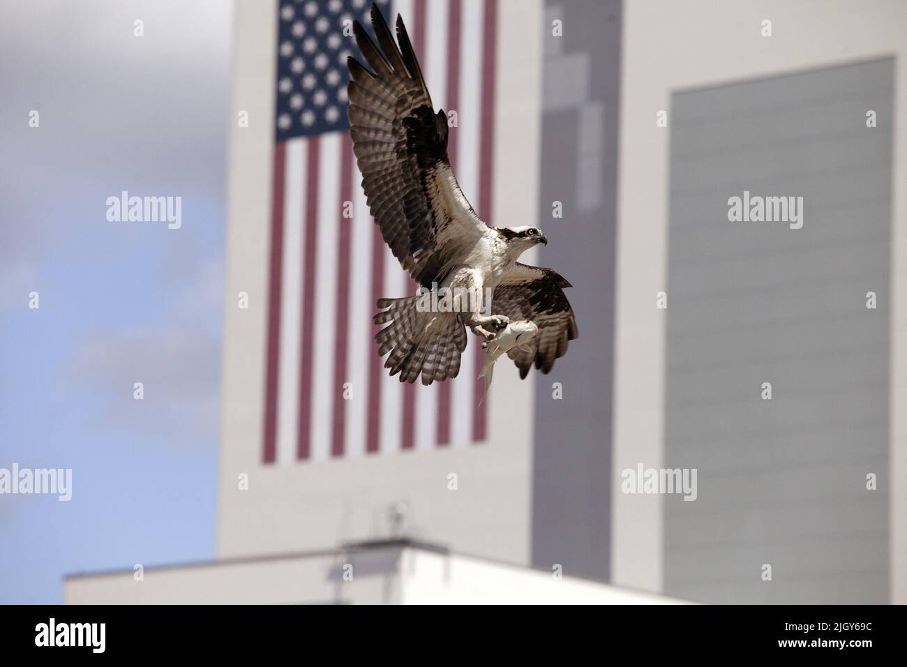 A 52 foot tall hi-res stock photography and images - Alamy