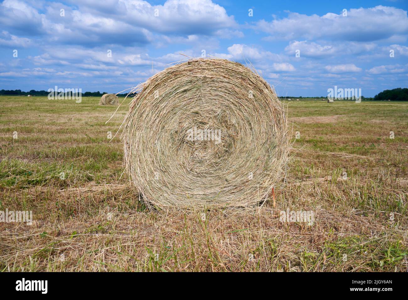 Hay bale close up. Round bale of hay front view Stock Photo - Alamy
