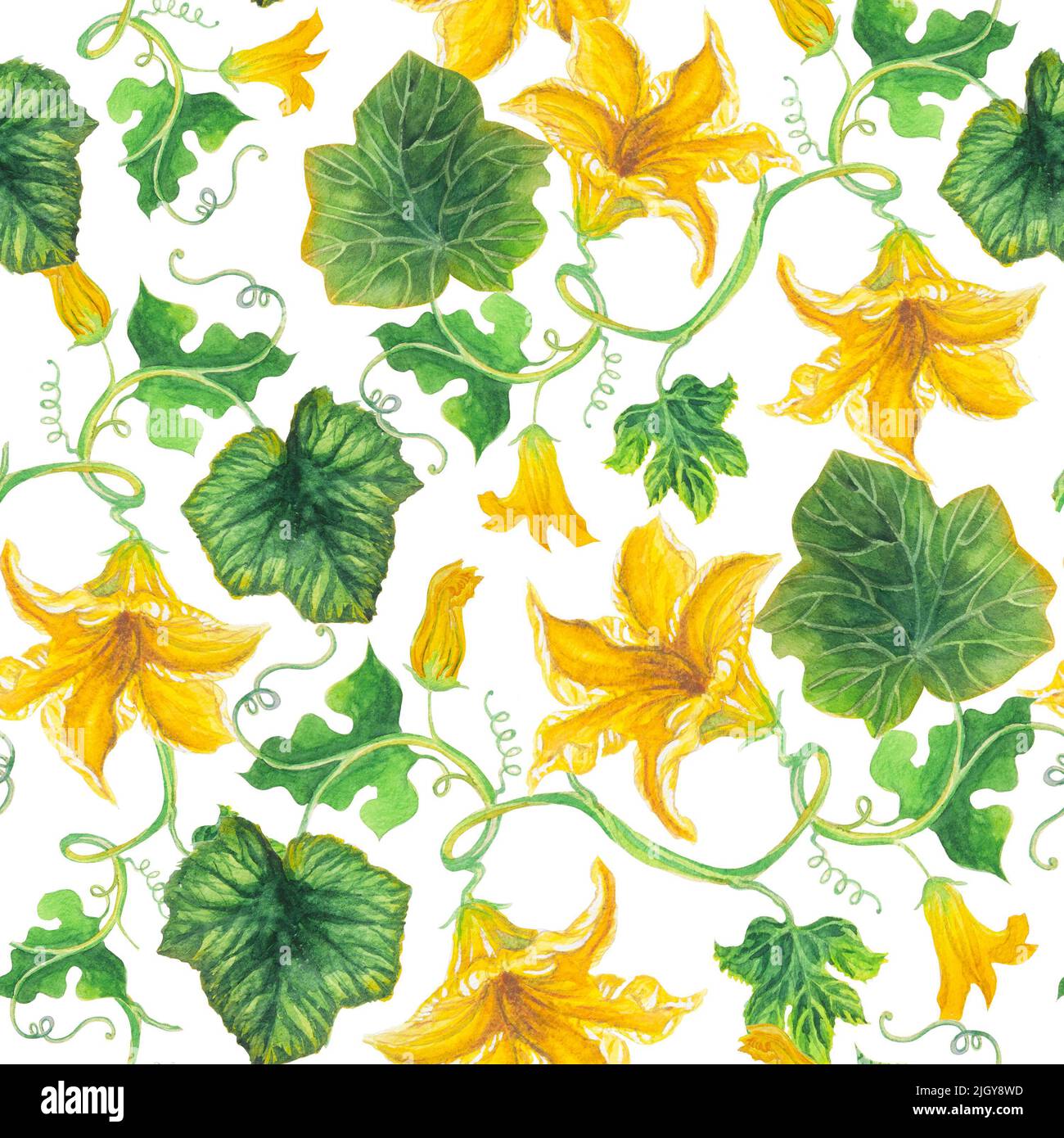 Pumpkins with leaves and flowers watercolor seamless repeat pattern ...