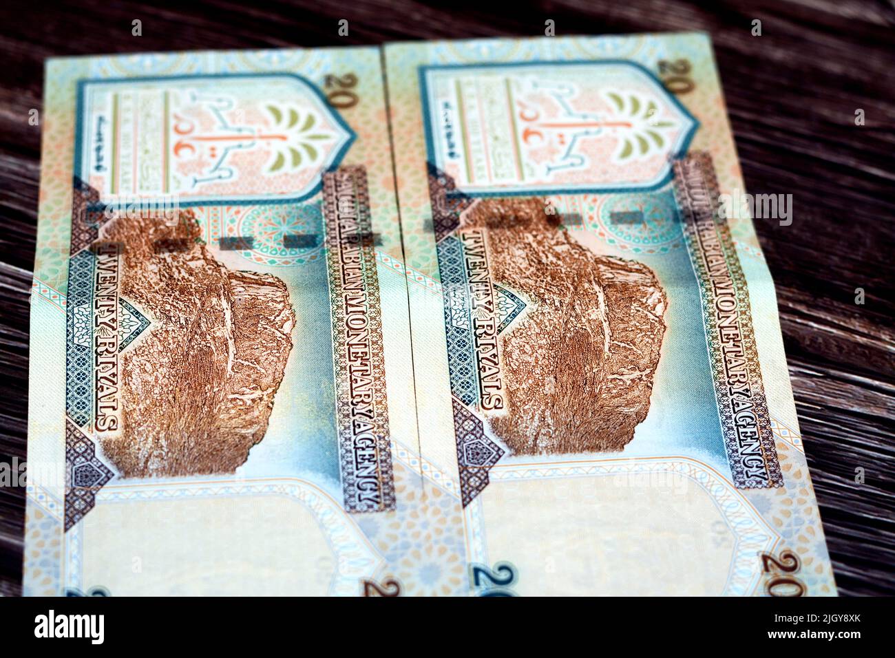 Reverse side of Saudi Arabia 20 SAR twenty Saudi riyals money banknote ...