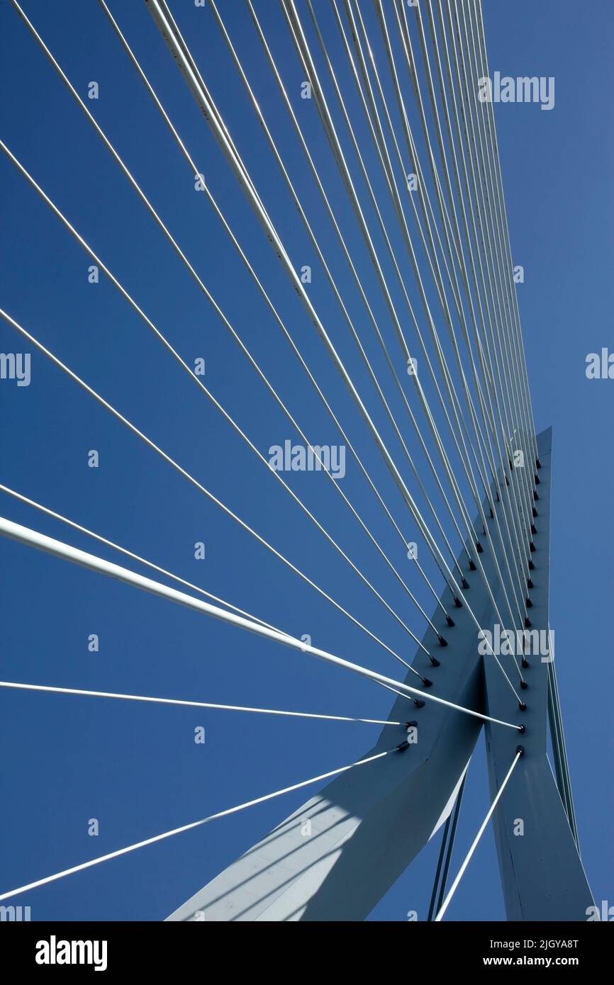 The Erasmusbrug or Erasmus Bridge (1996), Rotterdam, Netherlands Stock ...