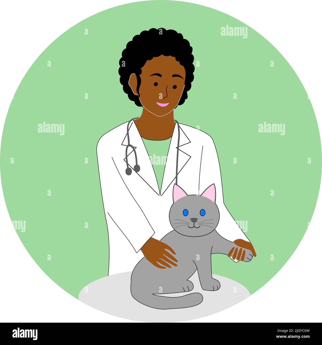 Adult female cat at vet Stock Vector Images - Alamy