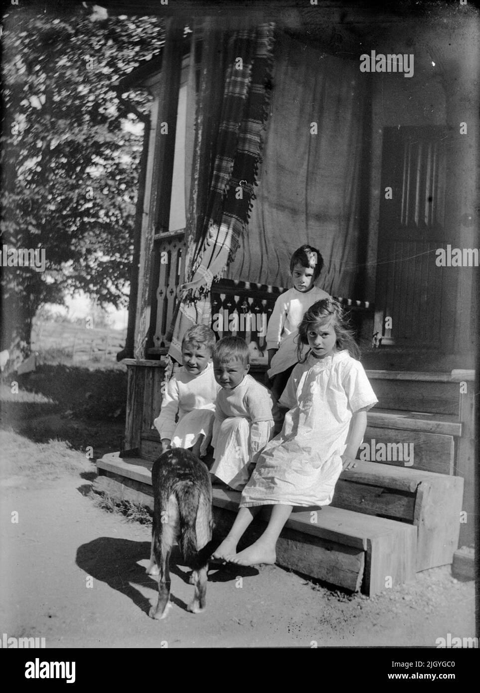 Finn in Black and White Stock Photos & Images - Alamy