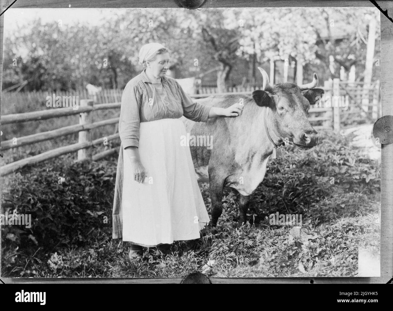 Repro -Photography - Woman with KO, Uppland. Repro -Photography - Woman ...