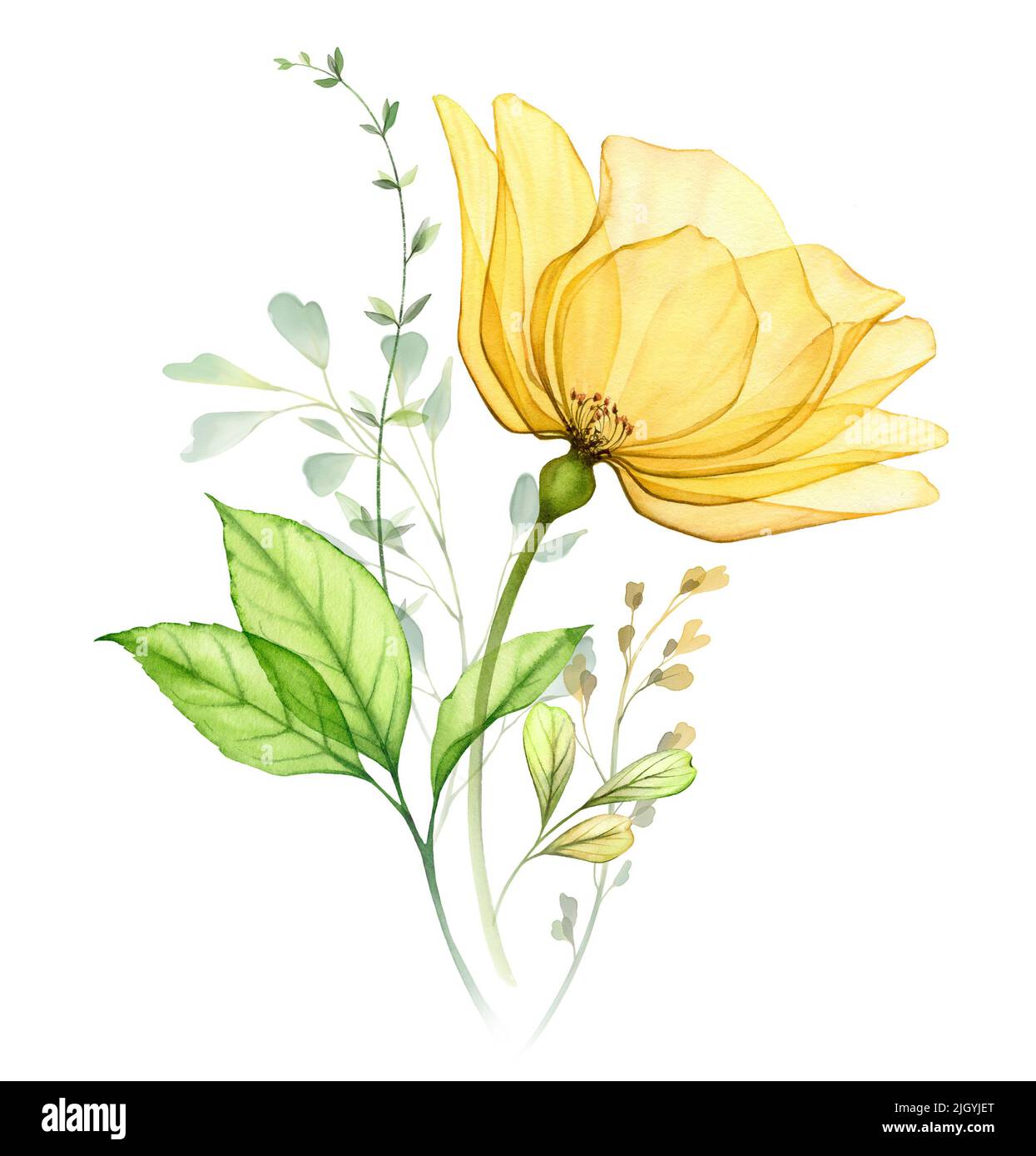 Bouquet yellow leaves in Cut Out Stock Images & Pictures - Alamy