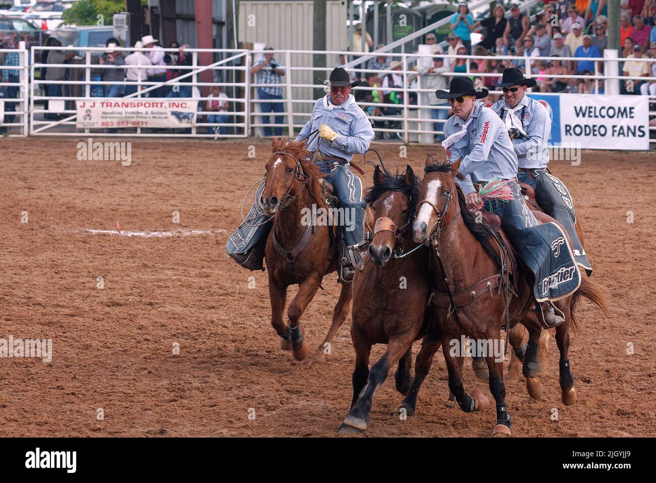 rodeo, 3 men corralling horse, job, skill, motion, spectators, contest ...