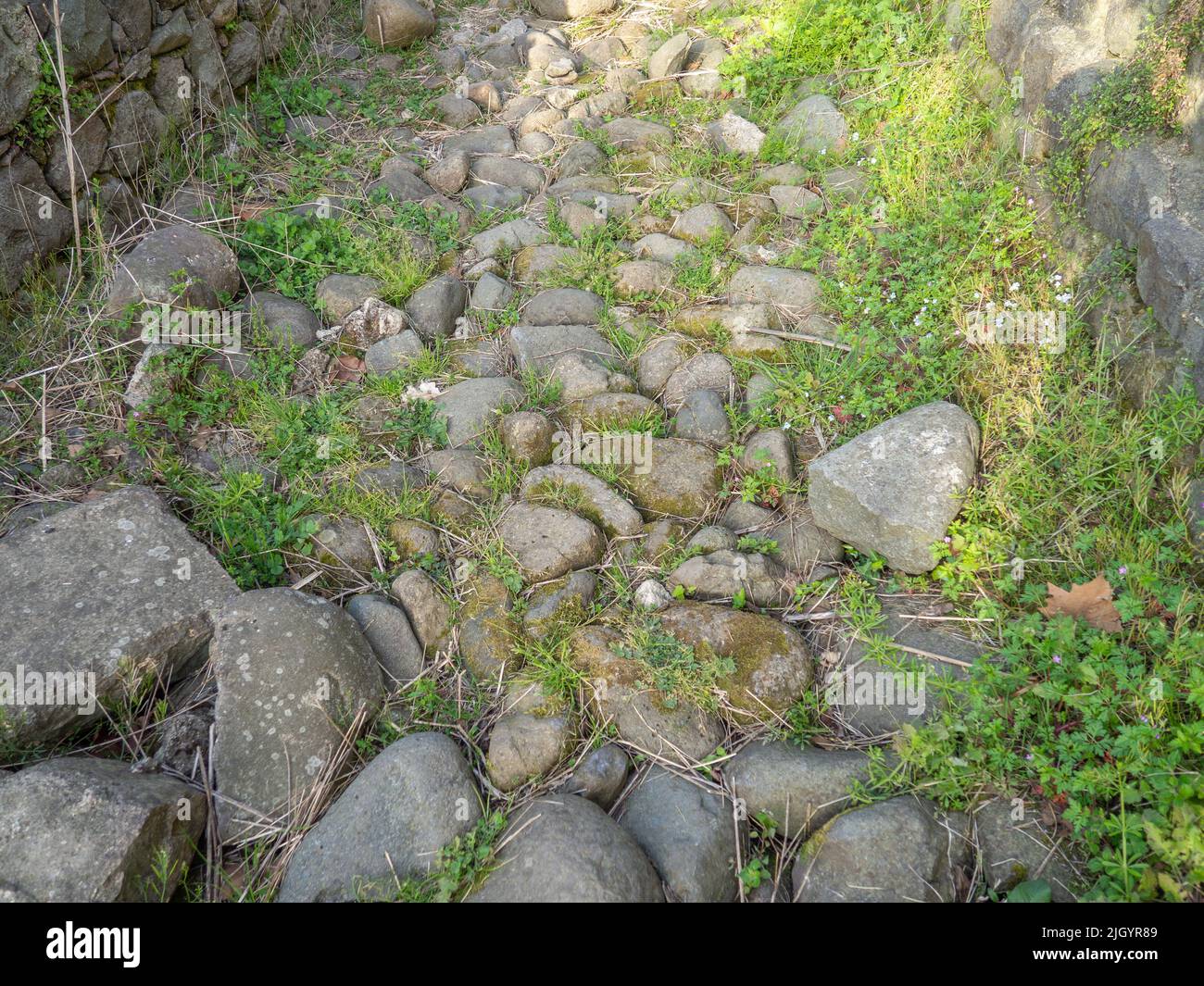 Ancient tiles. Remains of the old pavement. Cobblestone pavement. In ...