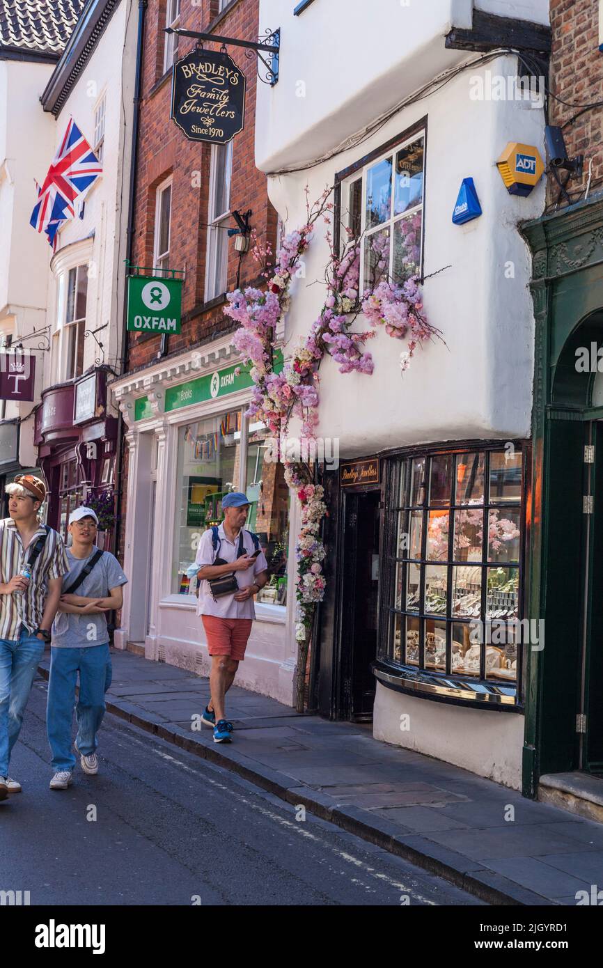 A street scene in York,North Yorkshire,England,UK with a pretty pink ...