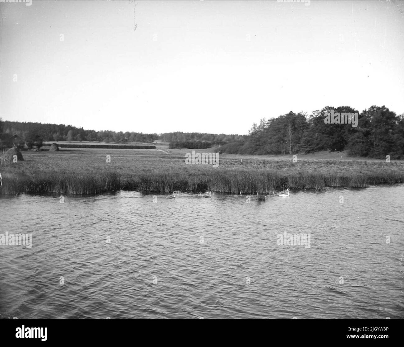 Liljekonvaljeholmen hi-res stock photography and images - Alamy