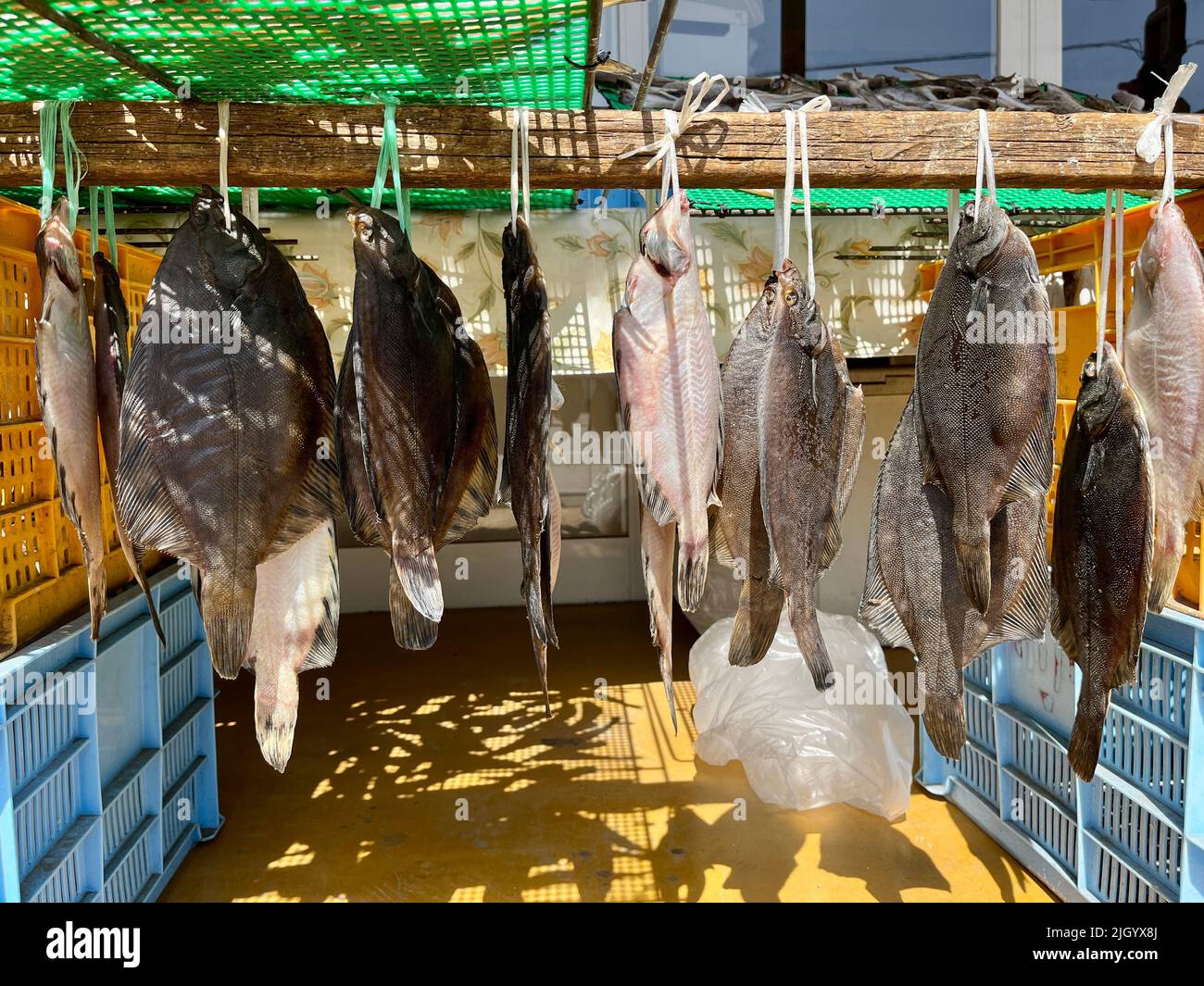 Fish hanging up to dry at a local fish market Stock Photo - Alamy