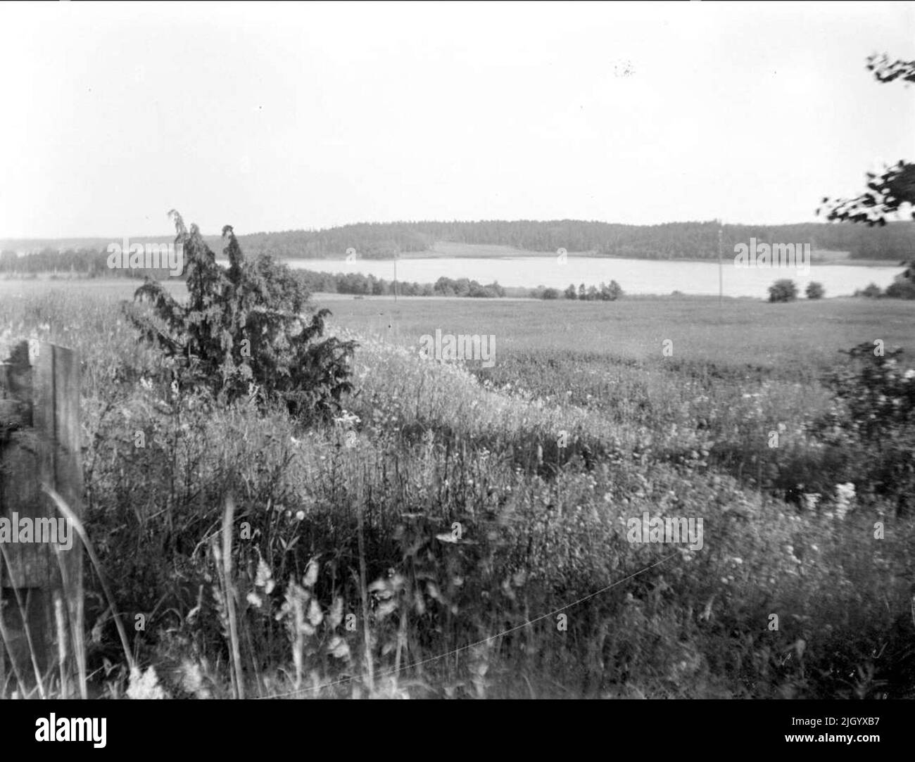 Landscape view with Lake Ösmaren in Roslags-Bro parish, Uppland in July ...
