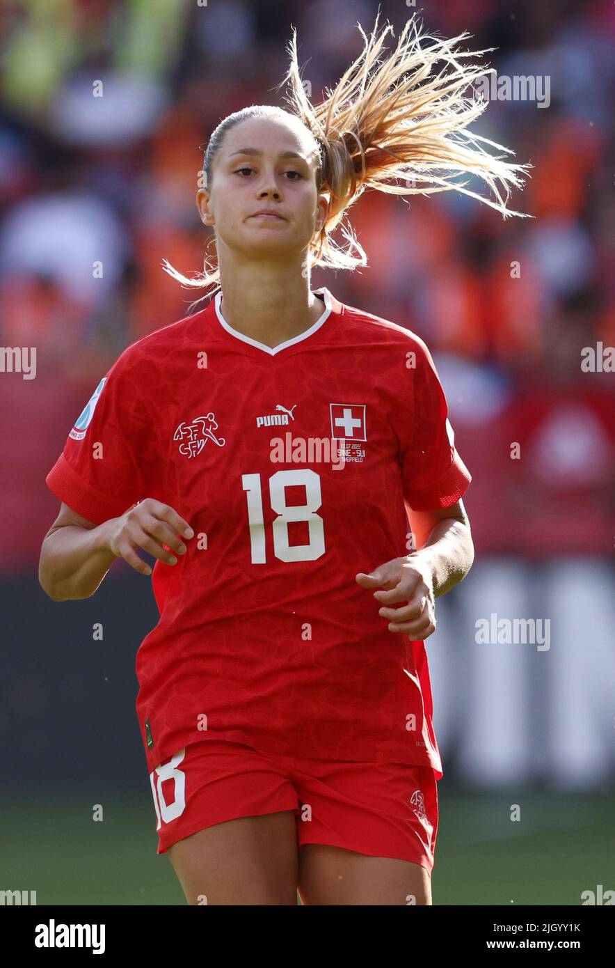 Viola calligaris hi-res stock photography and images - Alamy