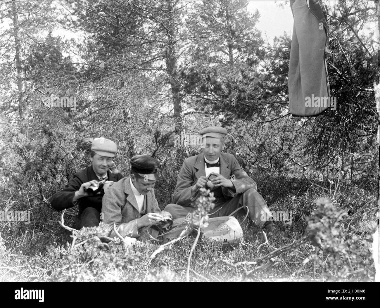 Three boys eat lunch bags, probably Uppland, early 1900s. Three boys ...