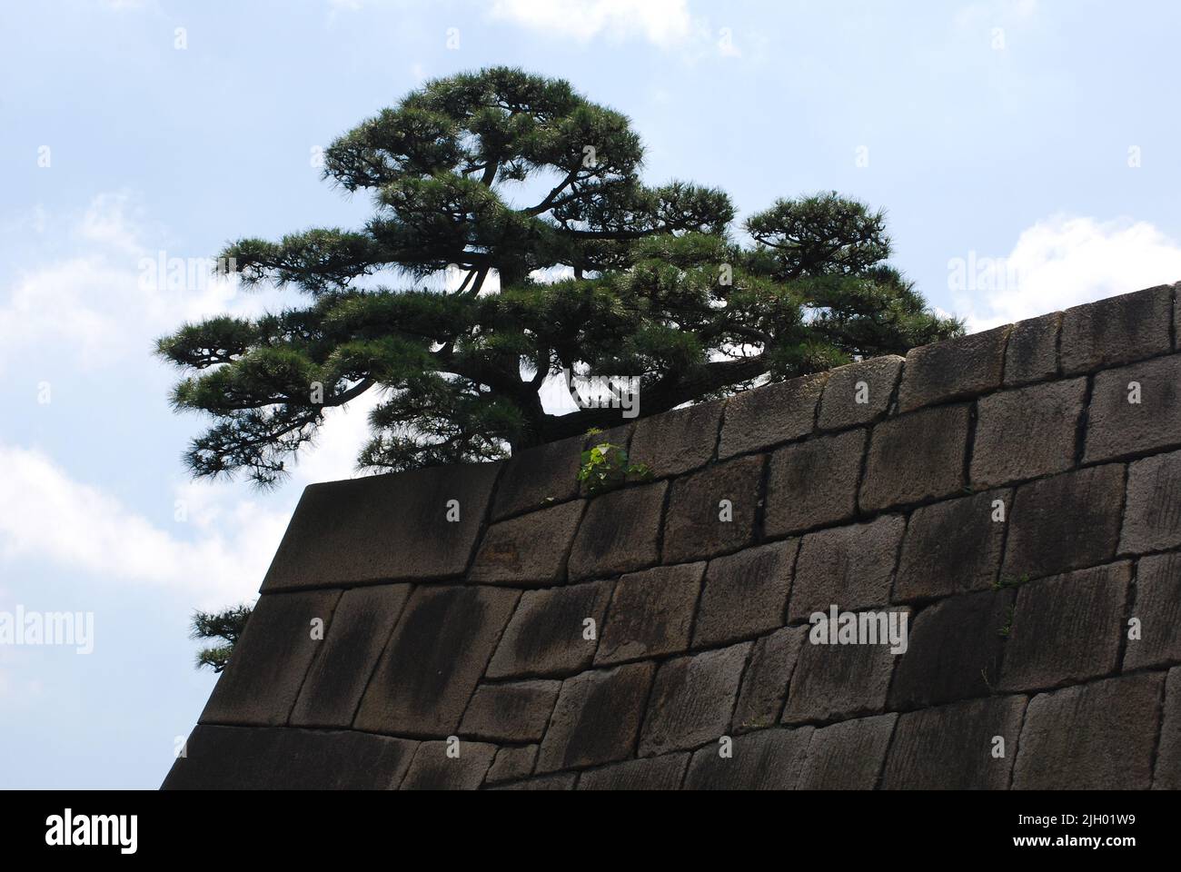 Views of the Imperial Palace grounds in Tokyo, Japan Stock Photo - Alamy