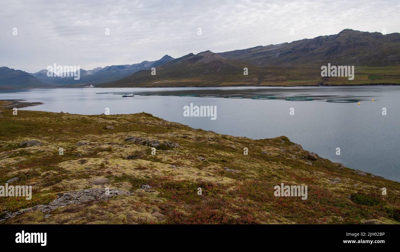 The Ice Fish Farm uses groundreaking methods to harvest fish without ...