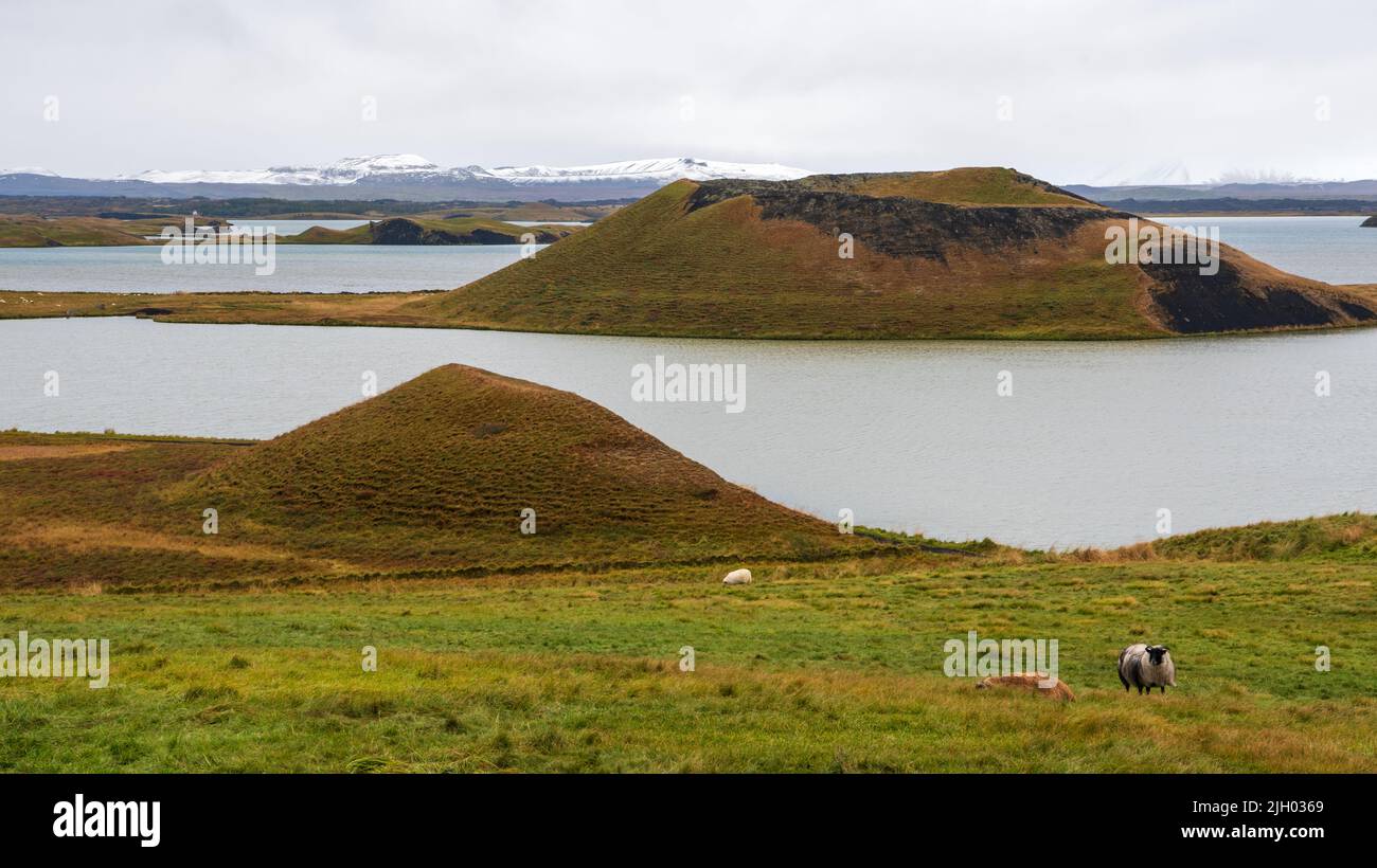 The Skútustaðagígar pseudo-craters are located in the Lake Mývatn area ...