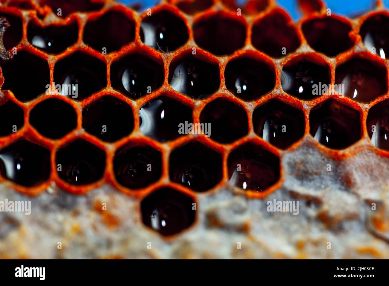 Hexagonal cells with honey . Honeycomb background Stock Photo - Alamy