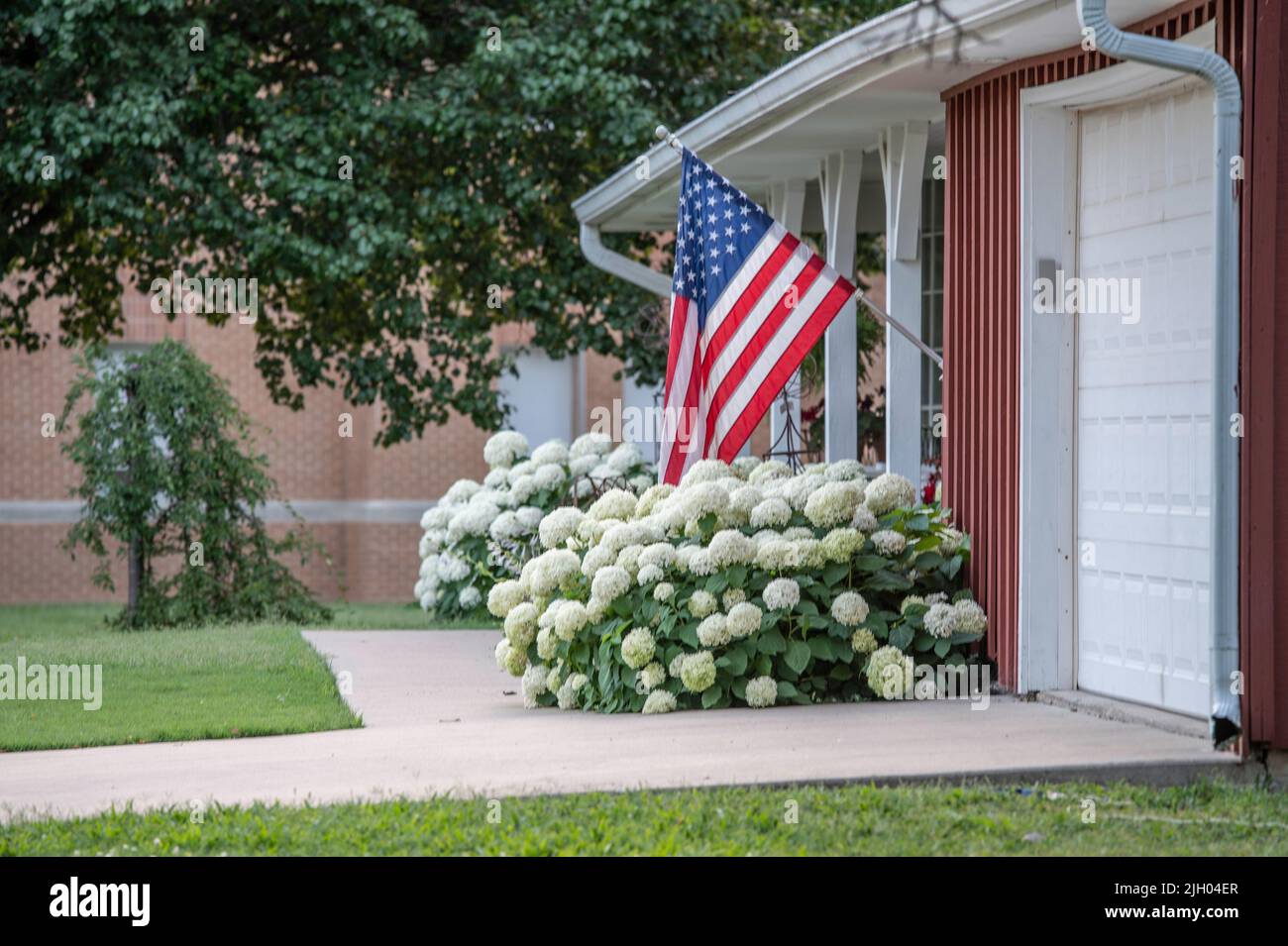 The USA flag in garden of house Stock Photo - Alamy
