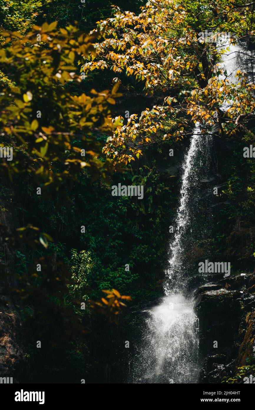 A vertical shot of Savri waterfall between autumn colorful trees Stock ...