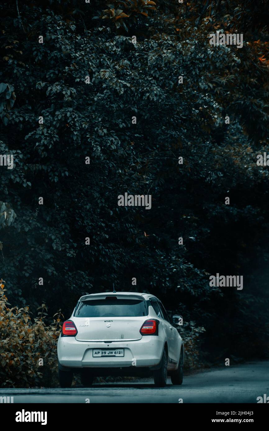 A vertical back shot of a white Suzuki Swift car parking on a forest ...