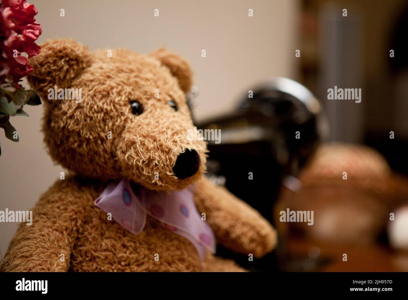 American Bears Selections From The Writings Of Theodore Roosevelt