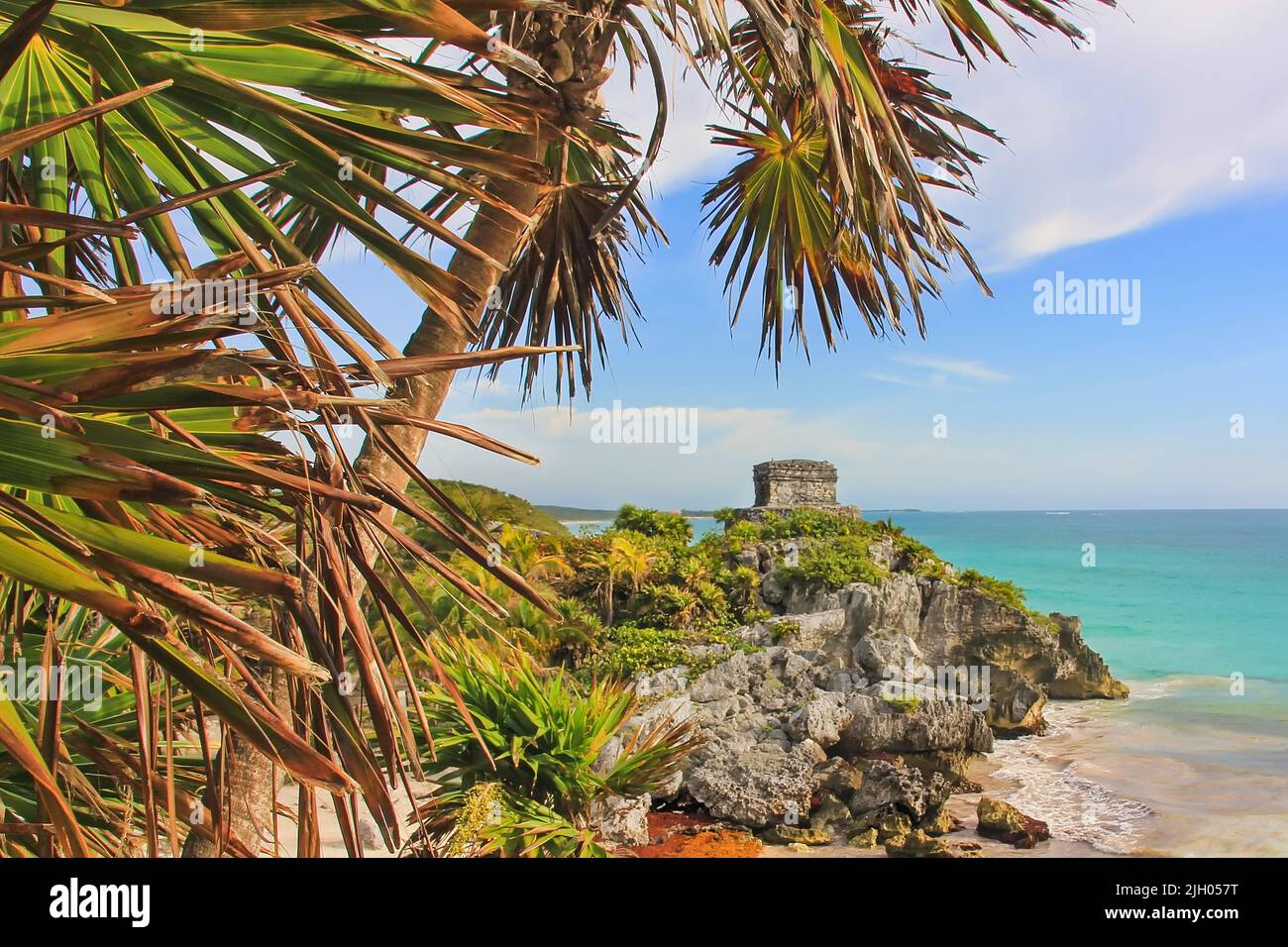 Palm tree through ancient hi-res stock photography and images - Alamy