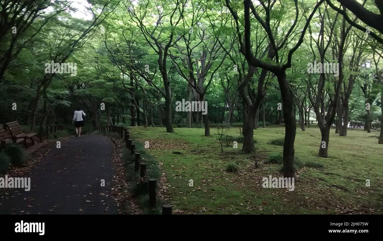 Views of the Imperial Palace grounds in Tokyo, Japan Stock Photo - Alamy