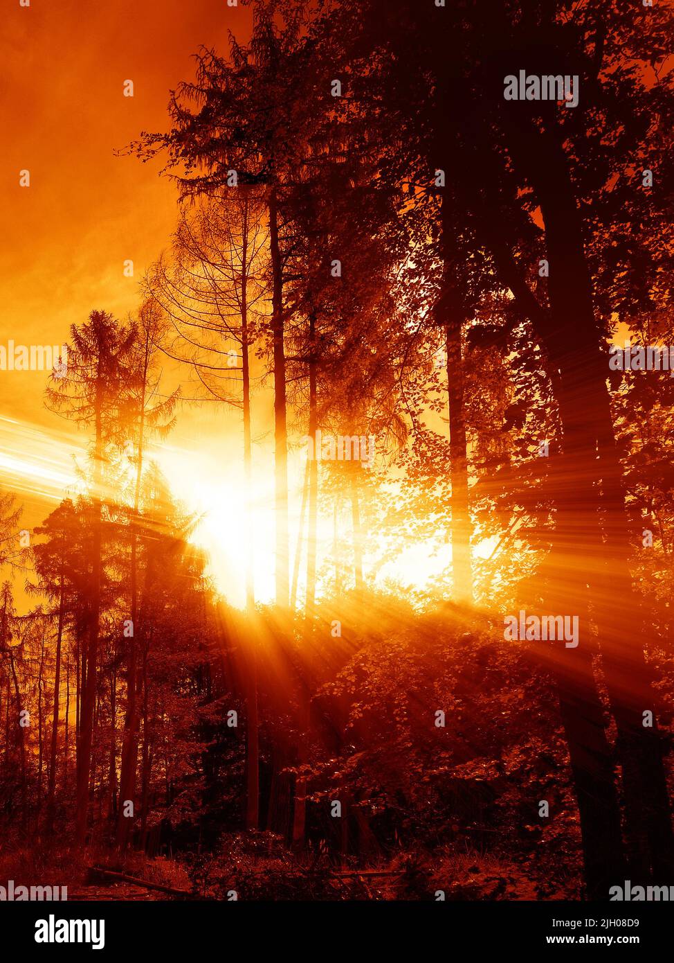 Tunguska event, illustration Stock Photo - Alamy