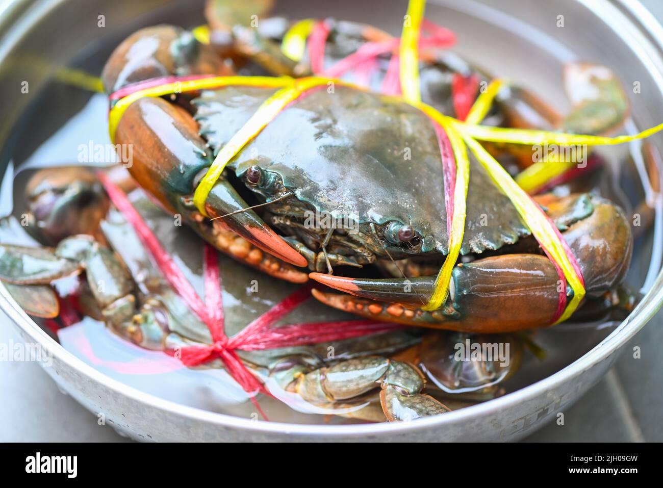 fresh mud crab for cooking food in the seafood restaurant, raw crab on ...