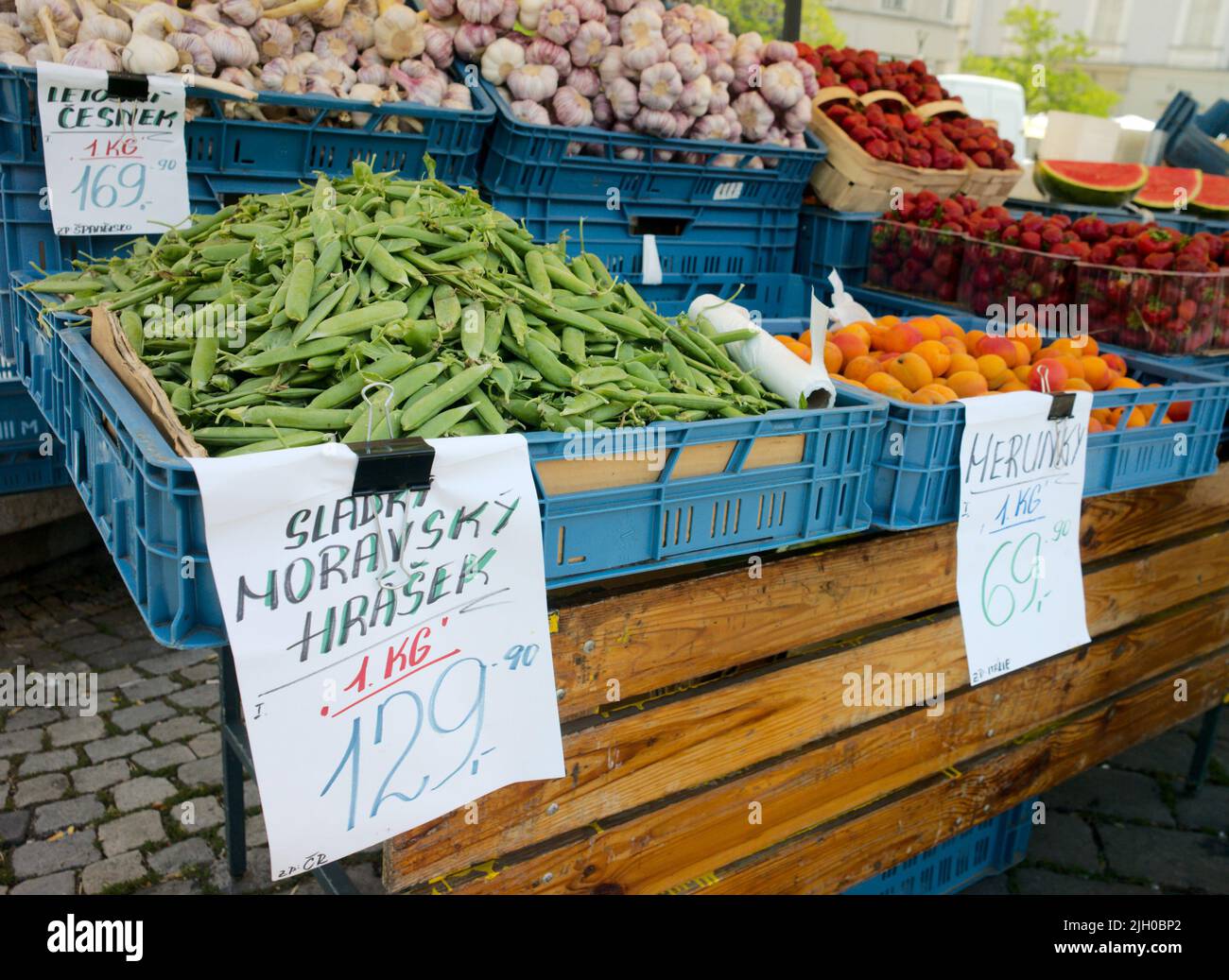 Gregor johann mendel hi-res stock photography and images - Alamy