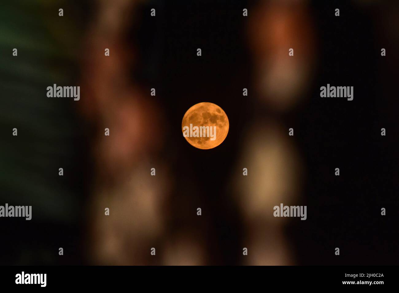 Srinagar, India. 13th July, 2022. The biggest and brightest super Buck ...