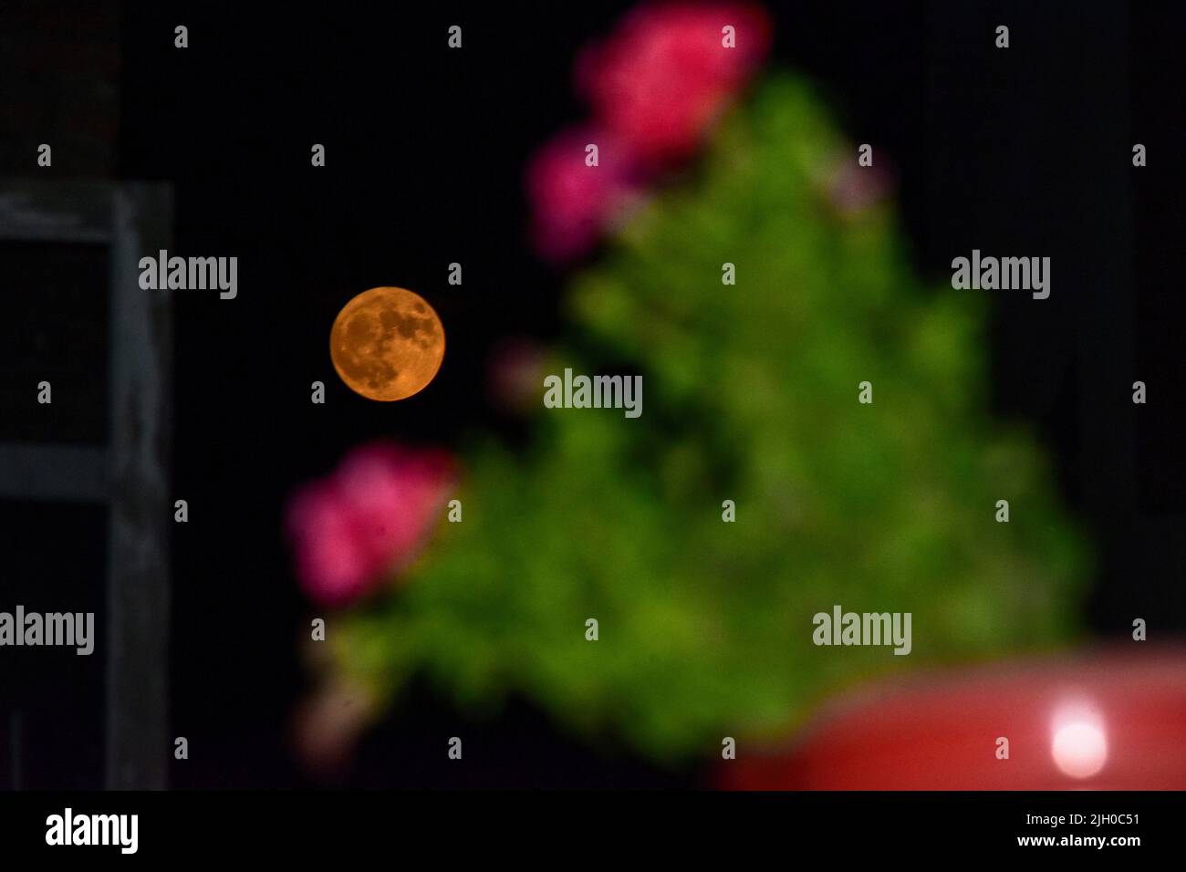 The biggest and brightest super Buck Moon rises in Srinagar. Stargazers ...