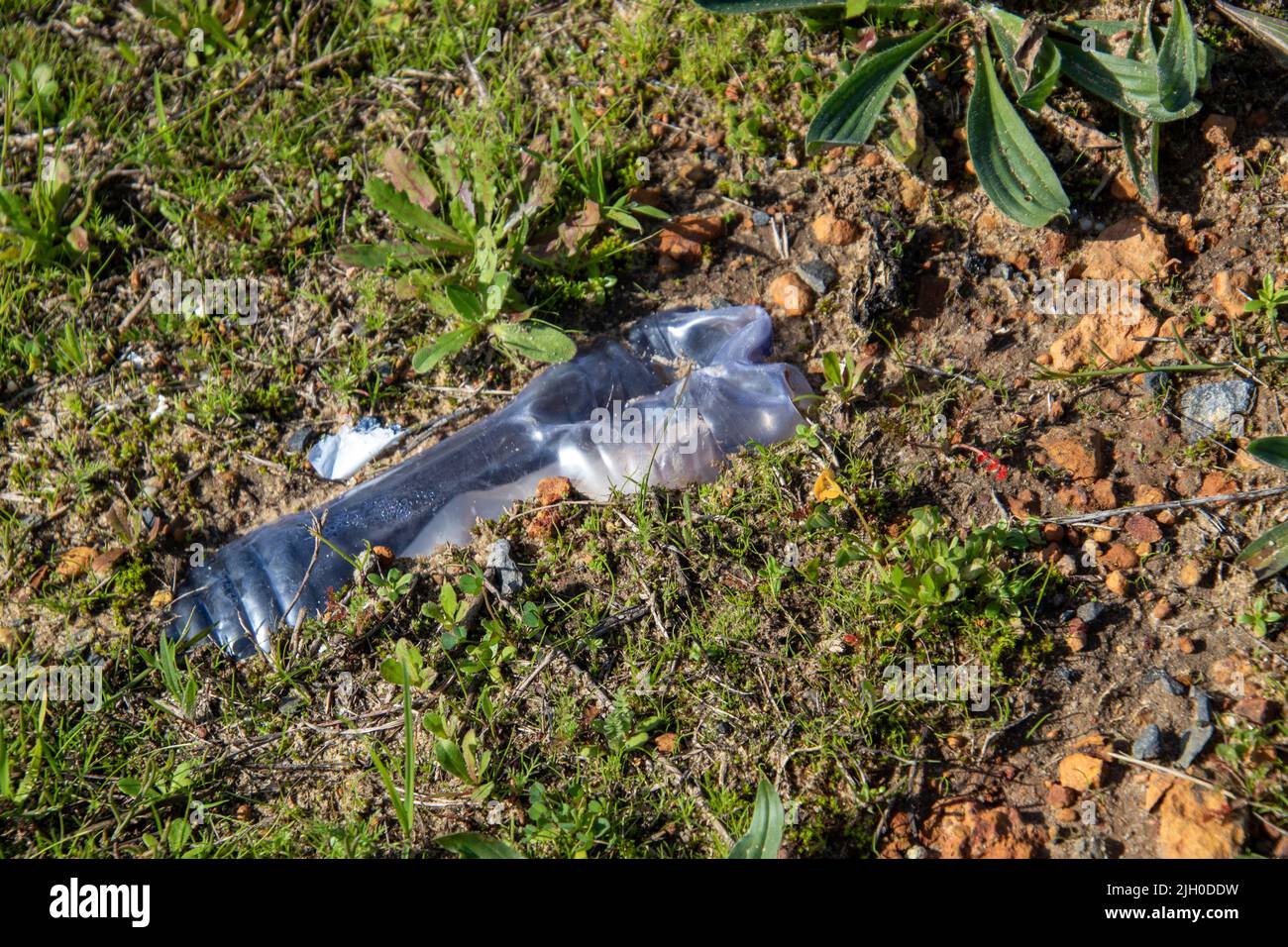 Single use plastic litter spoils and contaminates nature and the ...