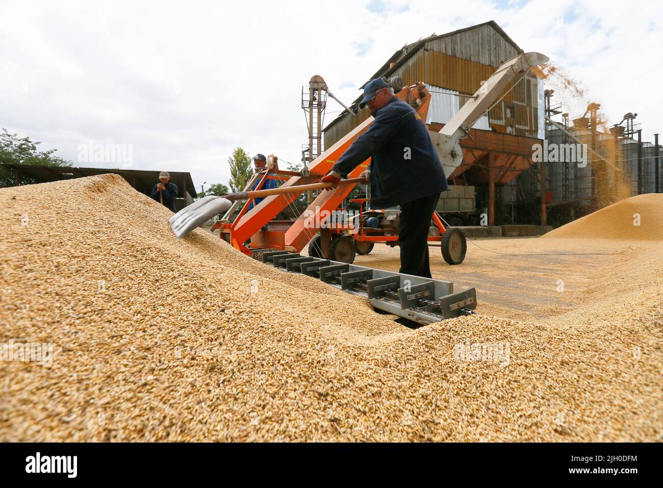 Ukrainian farmers load mix of wheat and barley grains after harvesting ...