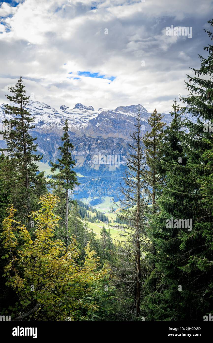 Hiking near Engelberg with a view of the Swiss Alps, summer Stock Photo ...