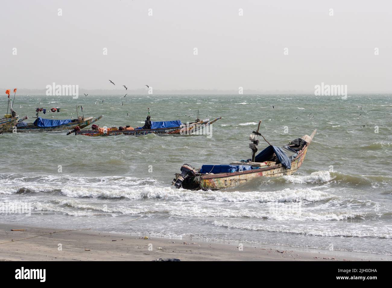 Gambia banjul fish hi-res stock photography and images - Alamy
