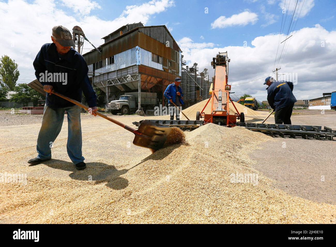 Ukrainian farmers load mix grains of wheat and barley after harvesting ...