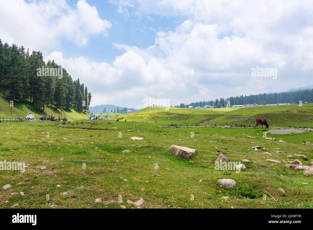 Landscape scenic of hills forests in beautiful kashmir. Dal lake ...