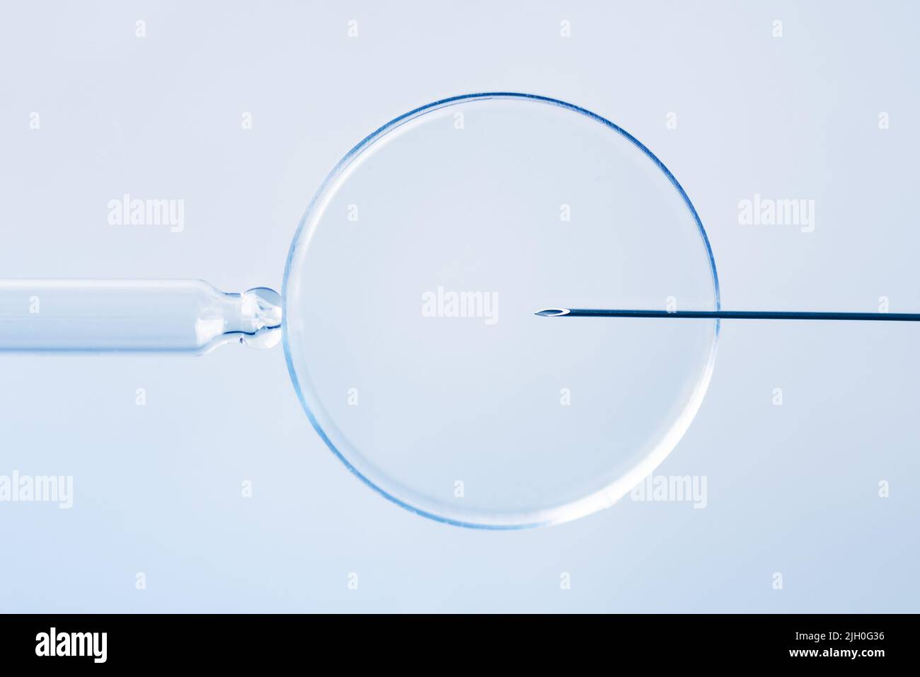 In vitro fertilisation concept. Artificial insemination or fertility ...