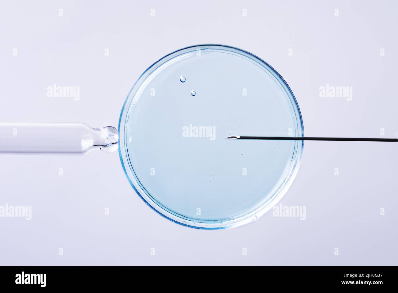 In vitro fertilisation concept. Artificial insemination or fertility ...