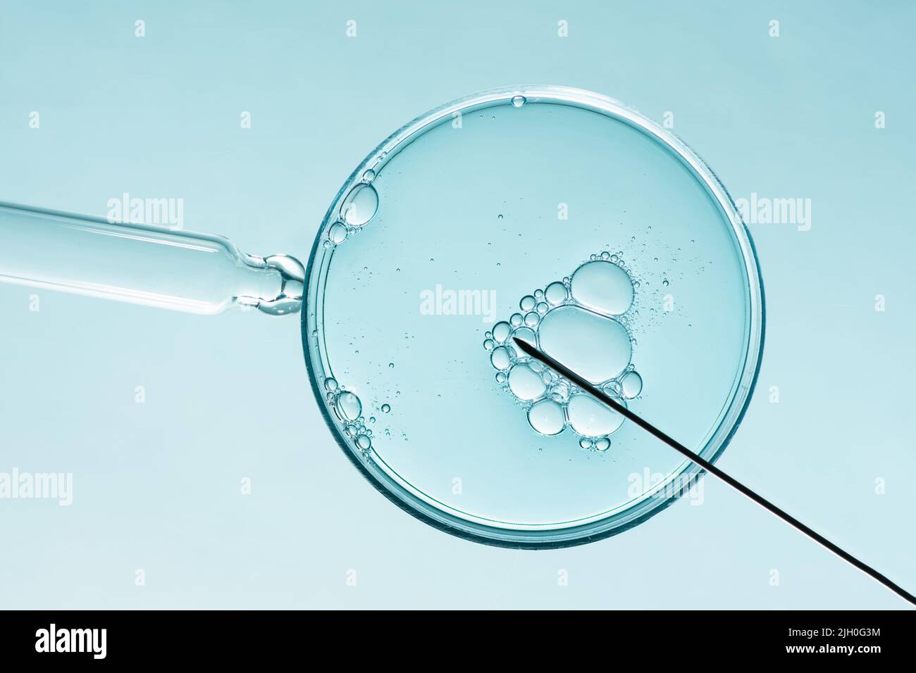In vitro fertilisation concept. Artificial insemination or fertility ...