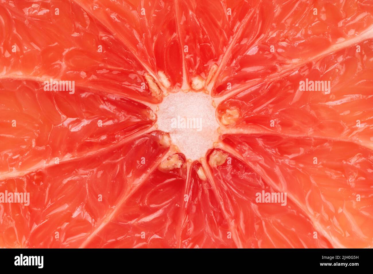 Grapefruit slice macro texture. Grapefruit citrus fruit background Stock Photo - Alamy