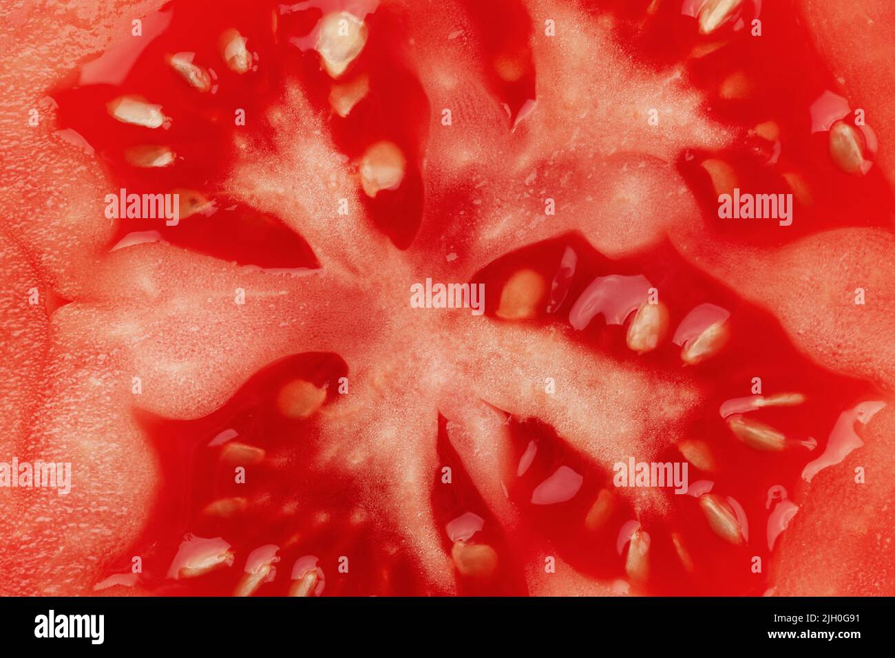 Macro photo of half cut tomato slice with seeds. Tomato slice texture ...