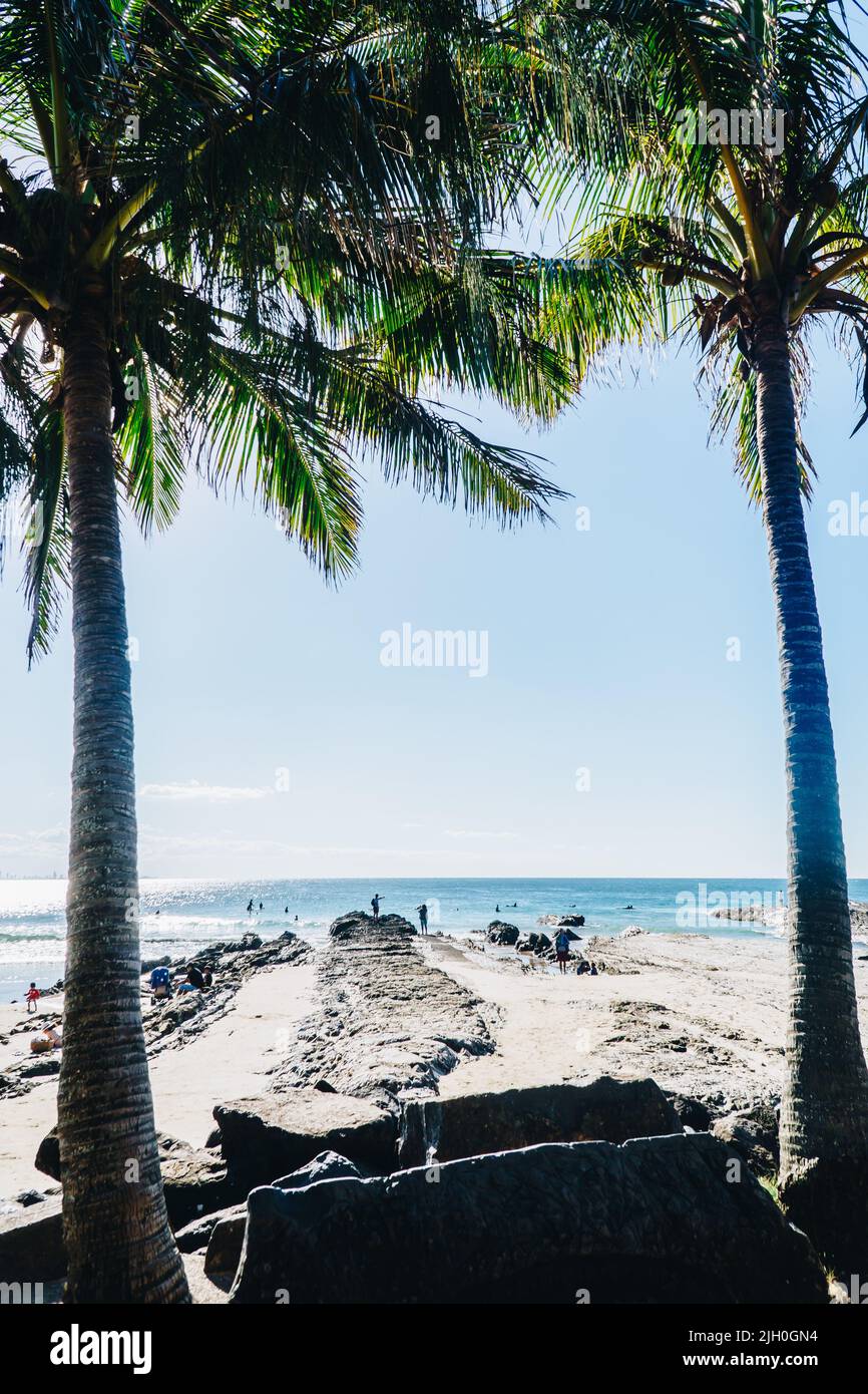 Snapper rocks chair in Coolangatta on the Gold Coast Stock Photo - Alamy