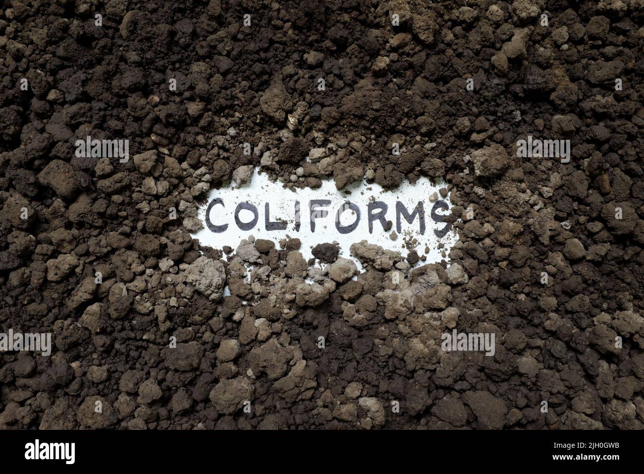 Fecal coliforms hi-res stock photography and images - Alamy