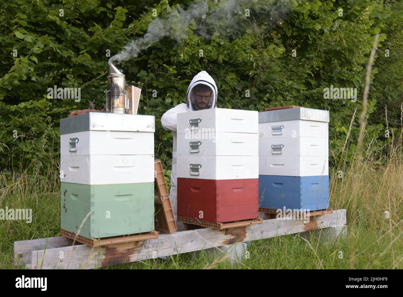 view on a beekeeper with his beehive in a meadow Stock Photo - Alamy