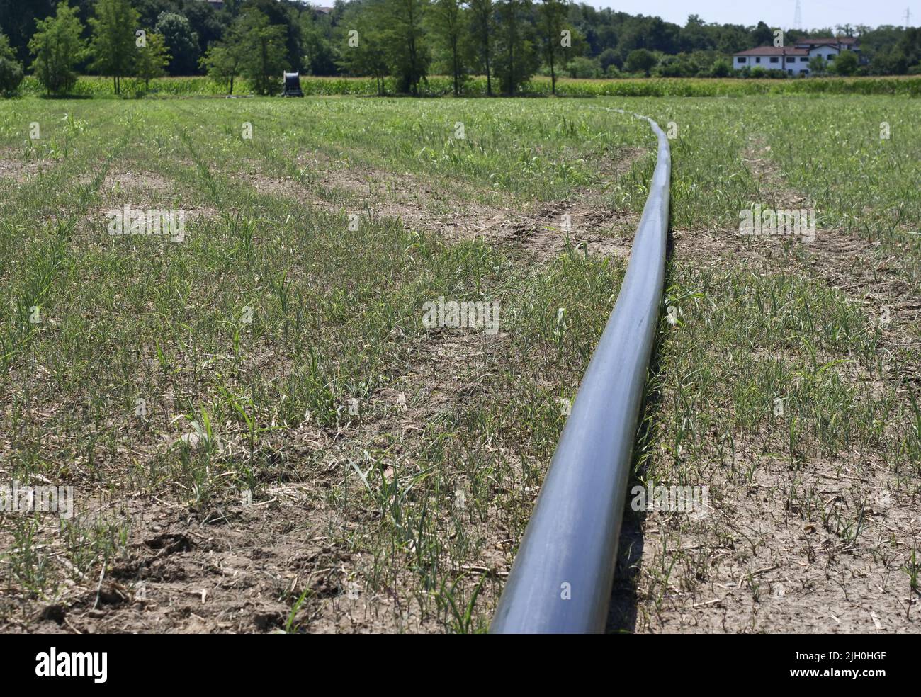 Killer drought, an increasingly dramatic situation in agricultural ...