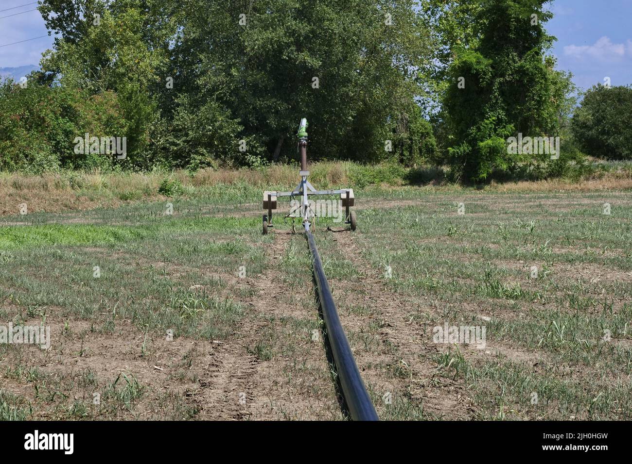 Killer drought, an increasingly dramatic situation in agricultural ...